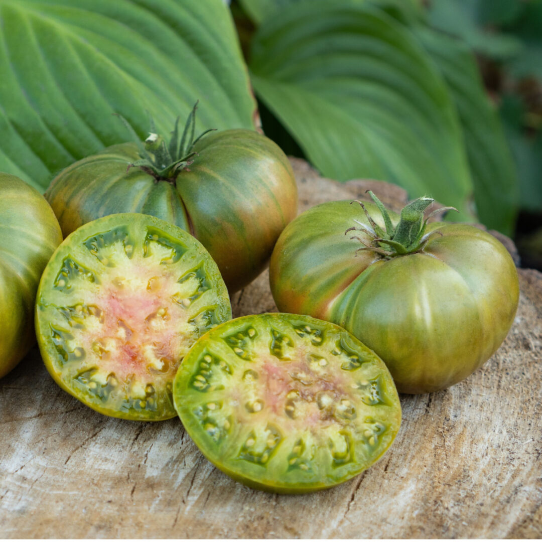 Growing Aunt Ruby’s German Green Tomato - Pure Flavor Heaven!