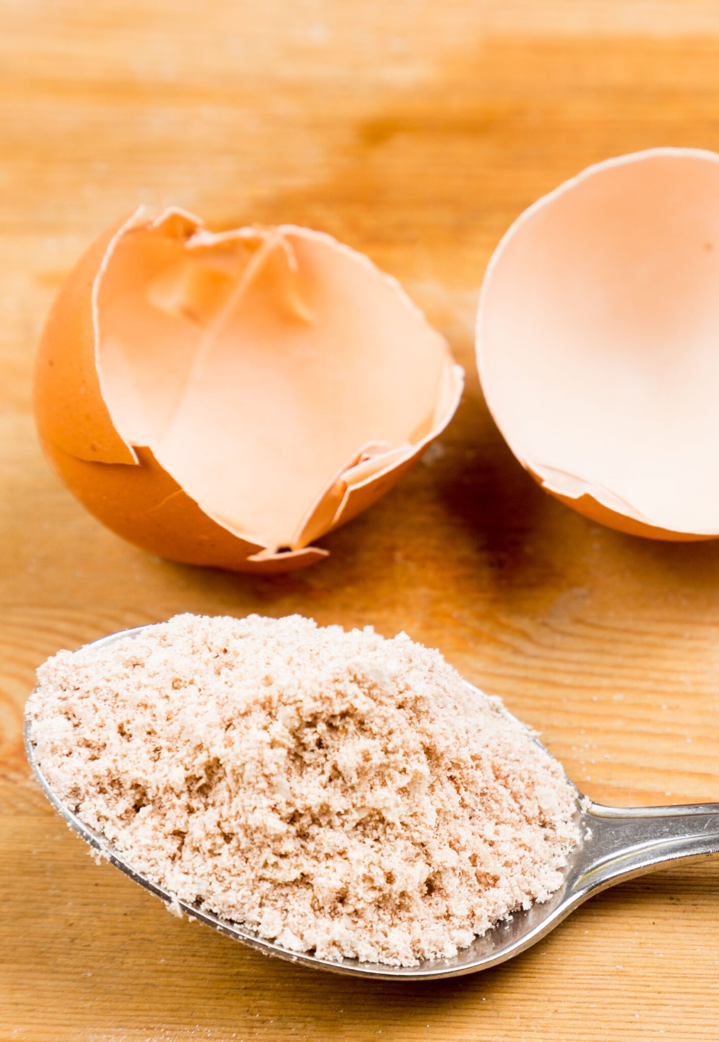 How Coffee Grounds & Egg Shells Help Tomato Plants!