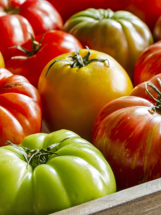 Tomato Varieties Archives - I Grow Tomatoes