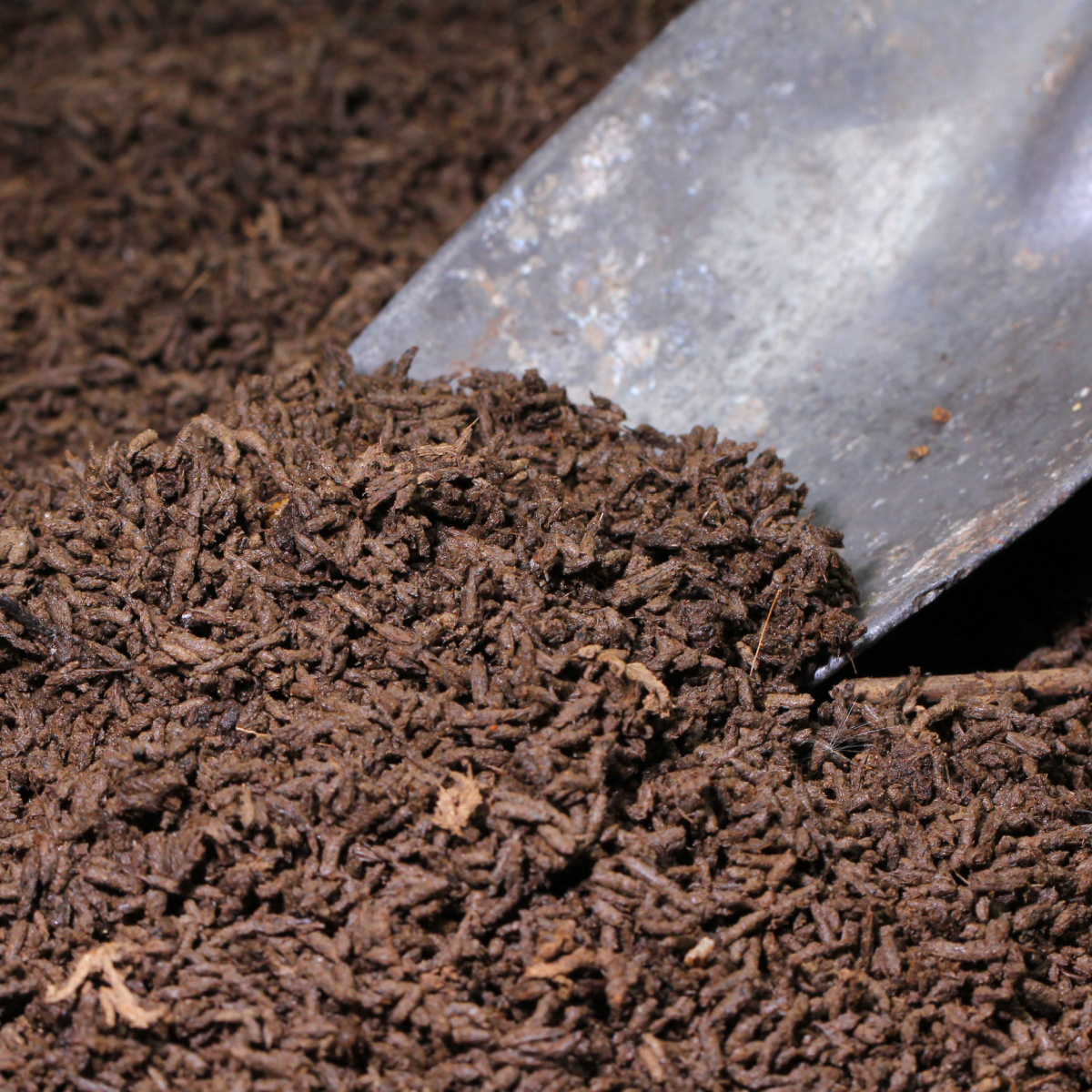 How To Use Worm Castings To Fertilize Tomato Plants