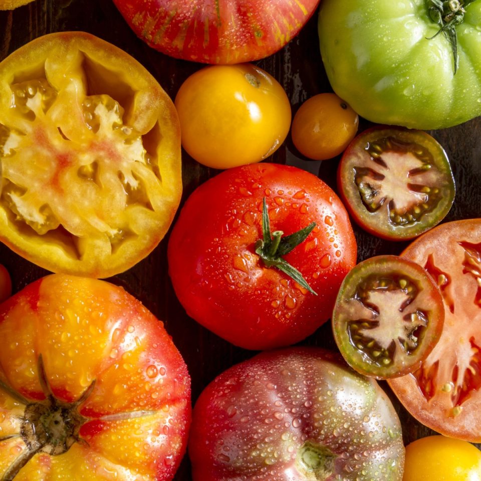 5 Must Try Heirloom Tomatoes To Grow This Year!
